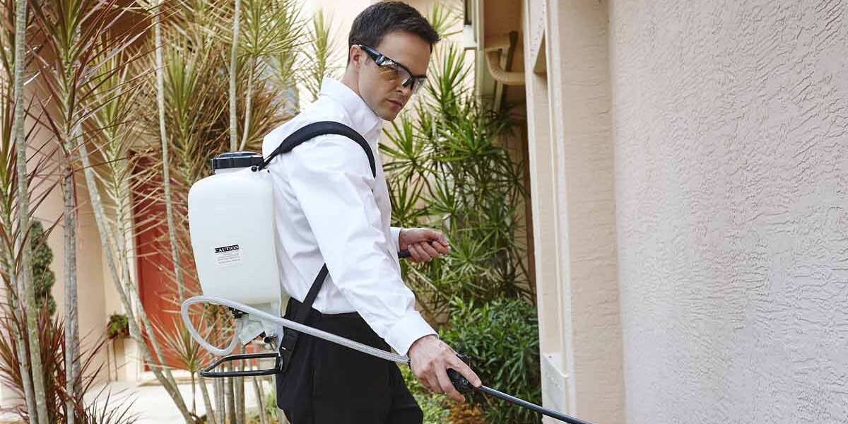 Why Do We Need Pest Control On A Regular Basis? | Strictly Business